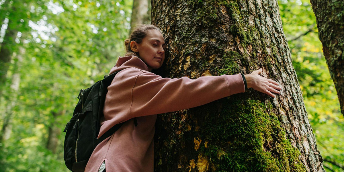 The Art and Science of Forest Bathing: Nurturing Wellness in Nature